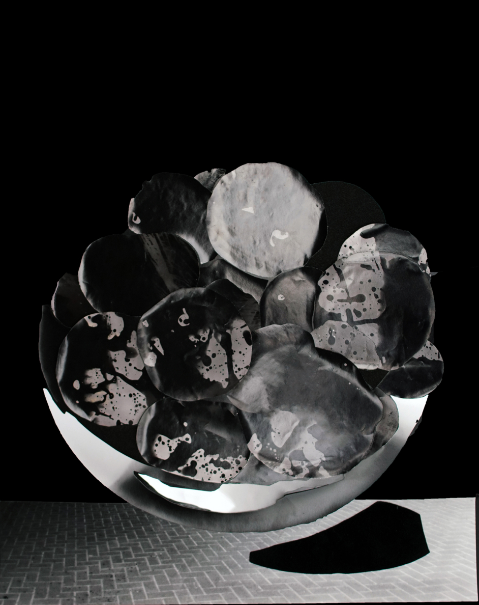 Canberra Contemporary Photographic Prize 2024 - photo access